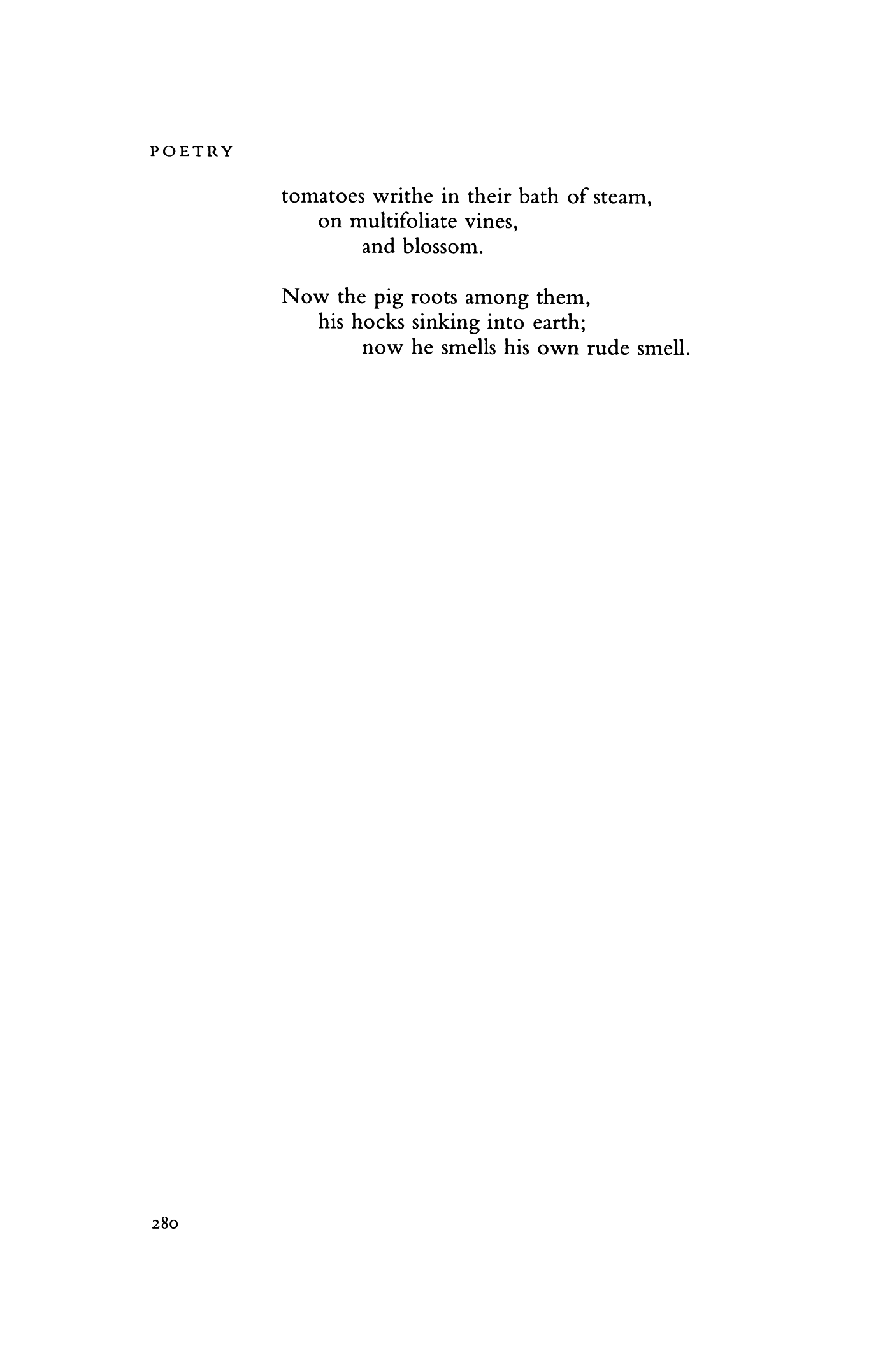 The Poetry Foundation