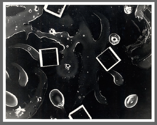 Now You Can See: Susan Bee's Beautiful Photograms… | Poetry Foundation